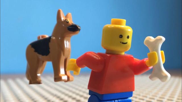 Qué hacer si tu perro se ha comido un Lego: consejos y sugerencias de ...