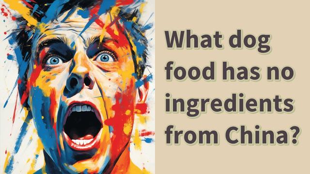 Averigüe qué alimentos para perros no contienen ingredientes chinos