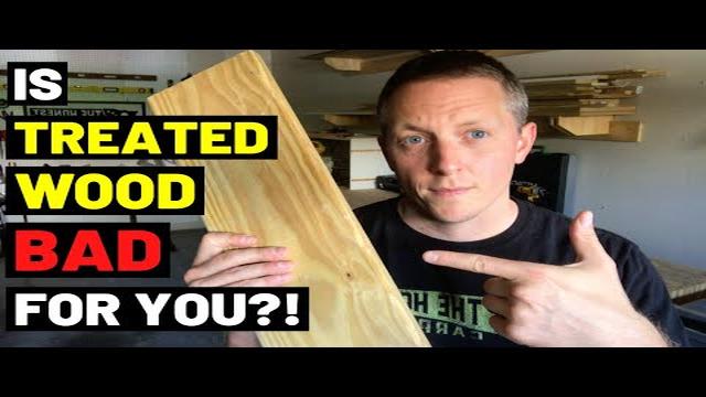 Is Pressure Treated Wood Safe For Animals? Exploring Safety Concerns ...