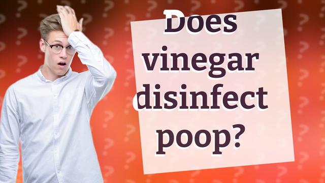 Does Vinegar Disinfect Poop: Exploring its Effectiveness as a Disinfectant