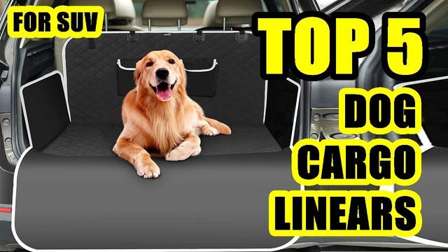 Is It Safe To Put Your Dog in the Trunk of an SUV? - Here's What You ...
