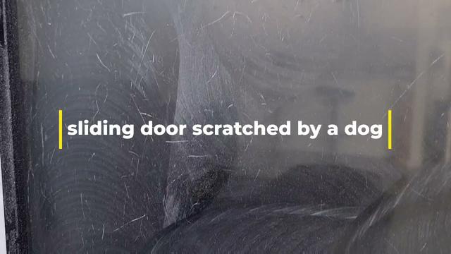 Dog Scratches On Glass Door: Causes, Prevention, and Remedies