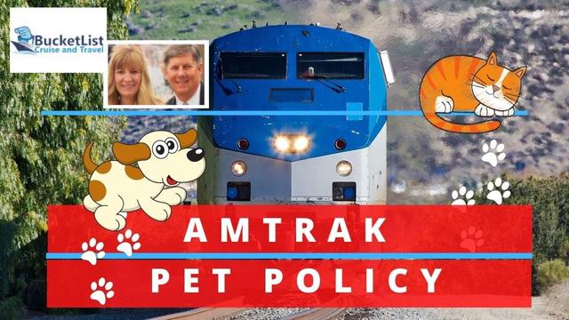 Understanding Amtrak's Pet Policy: What You Need to Know