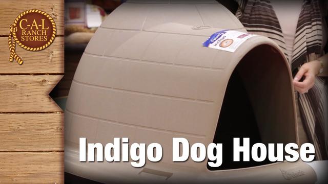 Igloo Dog House Temperature Rating: Finding the Perfect Shelter for ...
