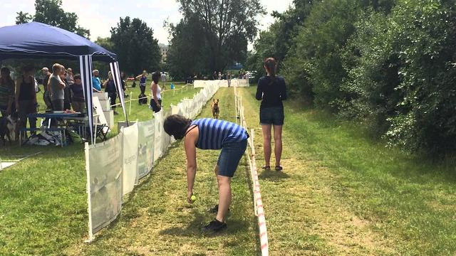 Fanta Dog Speed: The Fastest Canine Race