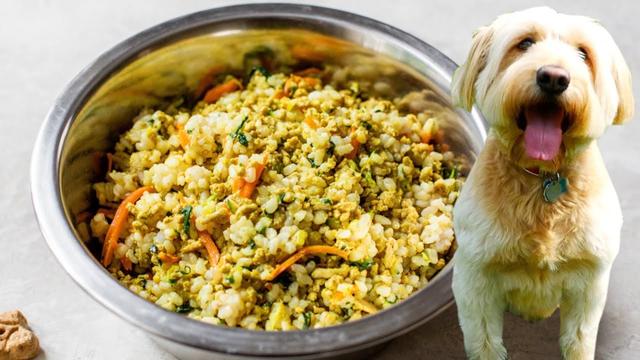 Aumente la comida de su perro con el condimento casero para comida de ...