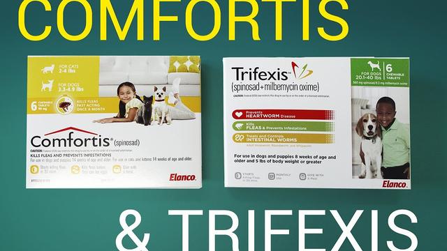 Trifexis frente a Bravecto: ¿Cuál es la mejor opción para la prevención de parásitos en mascotas?