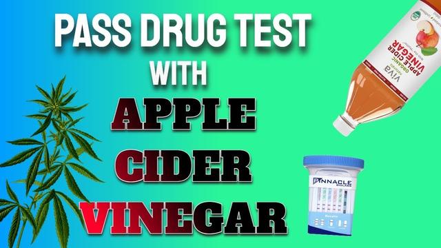 Using Apple Cider Vinegar To Clean Urine Pros And Cons