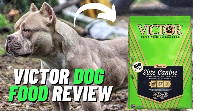 Victor Dog Food Puppy Feeding Chart: A Guide to Proper Nutrition