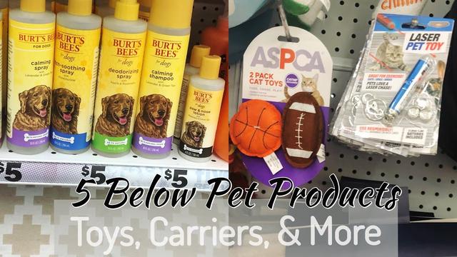 Is Five Below Pet Friendly: Everything You Need to Know