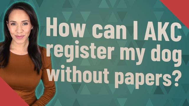 How To Register A Dog AKC Without Papers - Tips and Tricks