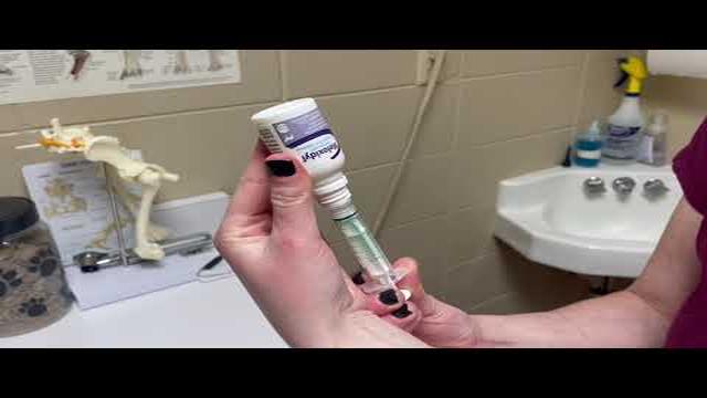 Kan ik mijn hond twee keer per dag Metacam geven? Een uitgebreide gids