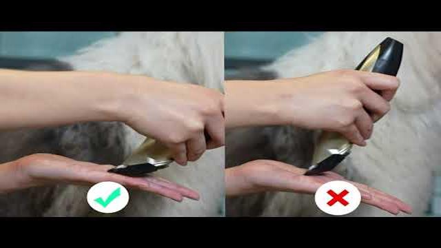 Beginner’s Guide: How to Use Dog Clippers for the First Time