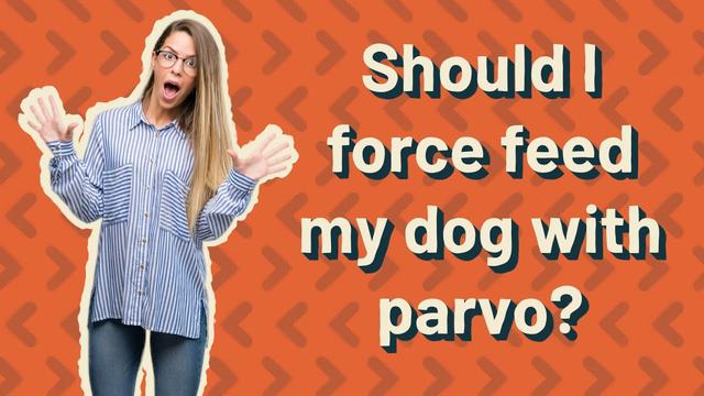 Should I Force Feed My Dog With Parvo? | Experts Weigh In
