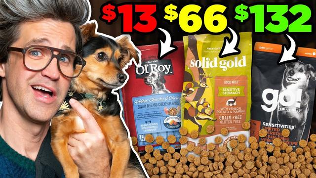 Discover the Most Expensive Dog Food Brands for Your Beloved Pooch