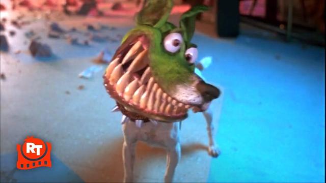 Discover the Canine Star of The Mask Movie - Meet The Mask's Dog