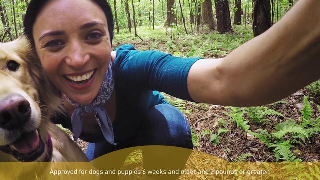 Difference Between Interceptor And Interceptor Plus: What You Need to Know