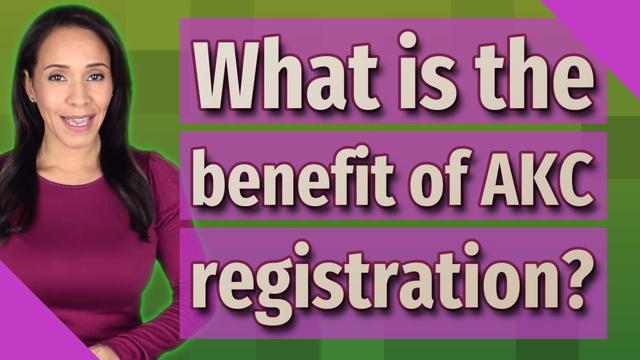 ¿Qué significa AKC Registered? Todo lo que necesita saber