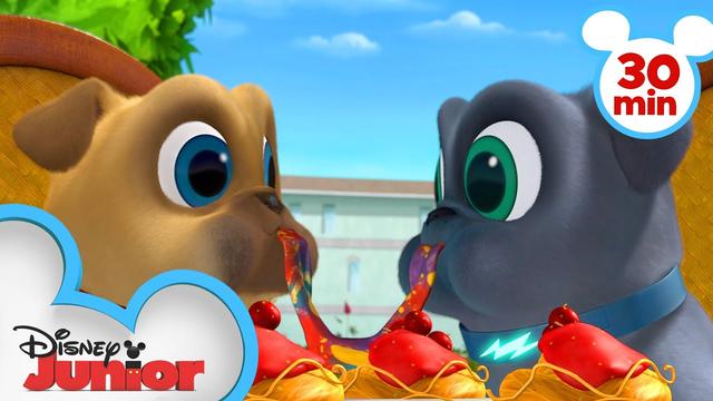 All You Need to Know About Bingo and Rolly - The Popular Disney Junior ...