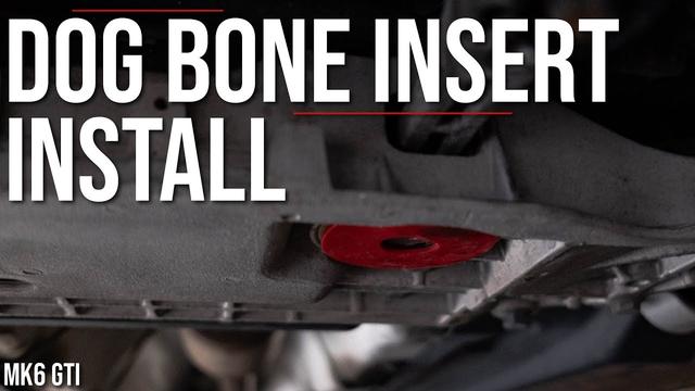 ECS Dog: Understanding the Endocannabinoid System and its Effects on ...