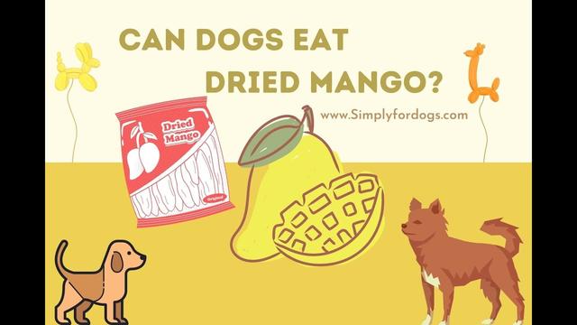 Can Dogs Have Dried Mango? Everything You Need to Know