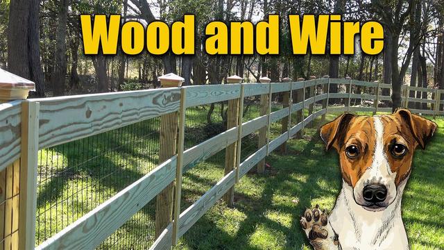 Everything You Need to Know About Dog Fences The Ultimate Guide