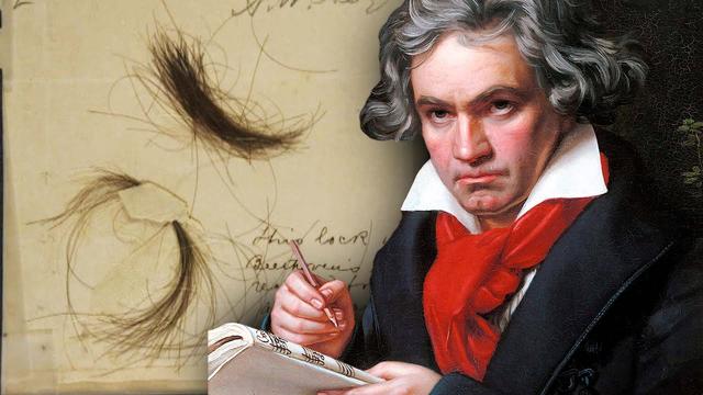What Was the Cause of Beethoven the Dog’s Death?