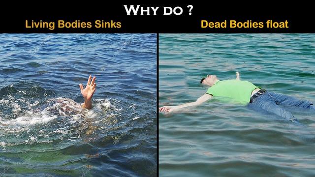 Factors Influencing the Time for a Dead Body to Float to the Surface ...