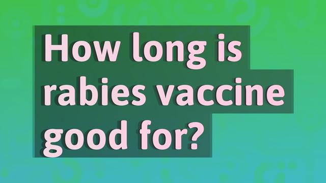 How Long Are Rabies Shots Good For In Texas - Expert Advice