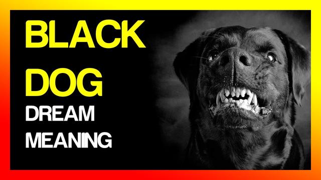 Decoding the Symbolism: Dreaming of a Black Dog that Wants to Bite You