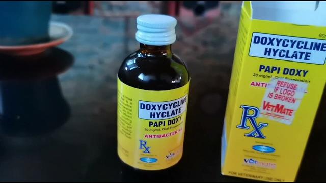 Doxycycline for Dogs: Uses, Dosage, Side Effects, and More