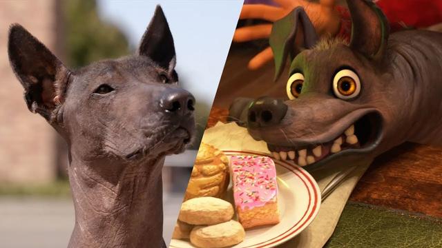 What Breed Is The Dog From Coco: Unveiling the Mystery Behind the ...