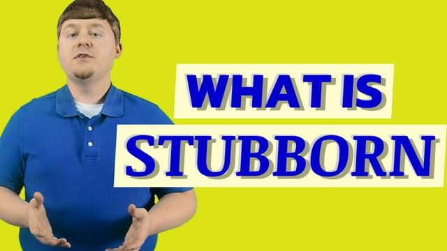 The True Meaning of Stubbornness and How It Can Work for You