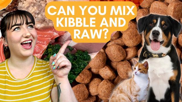 Mix Kibble With Wet Food: The Perfect Combination for Your Pet's Health