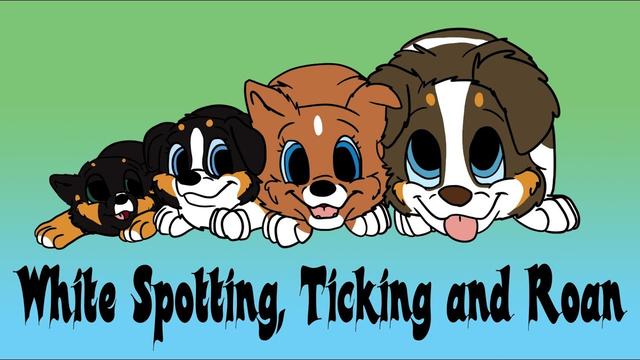 Roan Color Dog: Everything You Need to Know About this Unique Coat Pattern