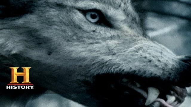 Descubrir los orígenes: El primer perro de la Tierra