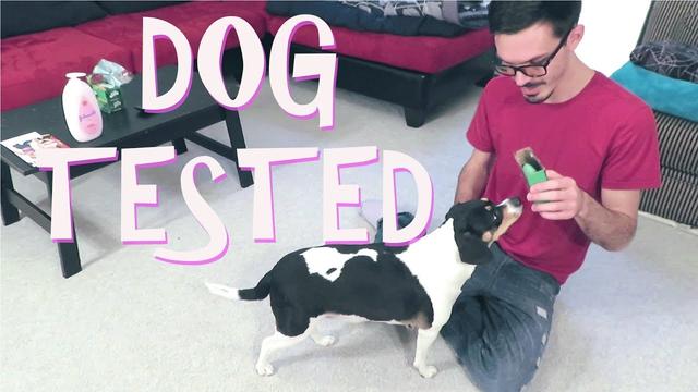 Le savon Irish Spring peut-il être utilisé sans danger sur mon chien ...