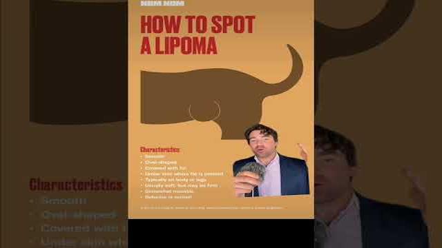 A quoi ressemble un lipome sur un chien - Signes et symptômes à surveiller